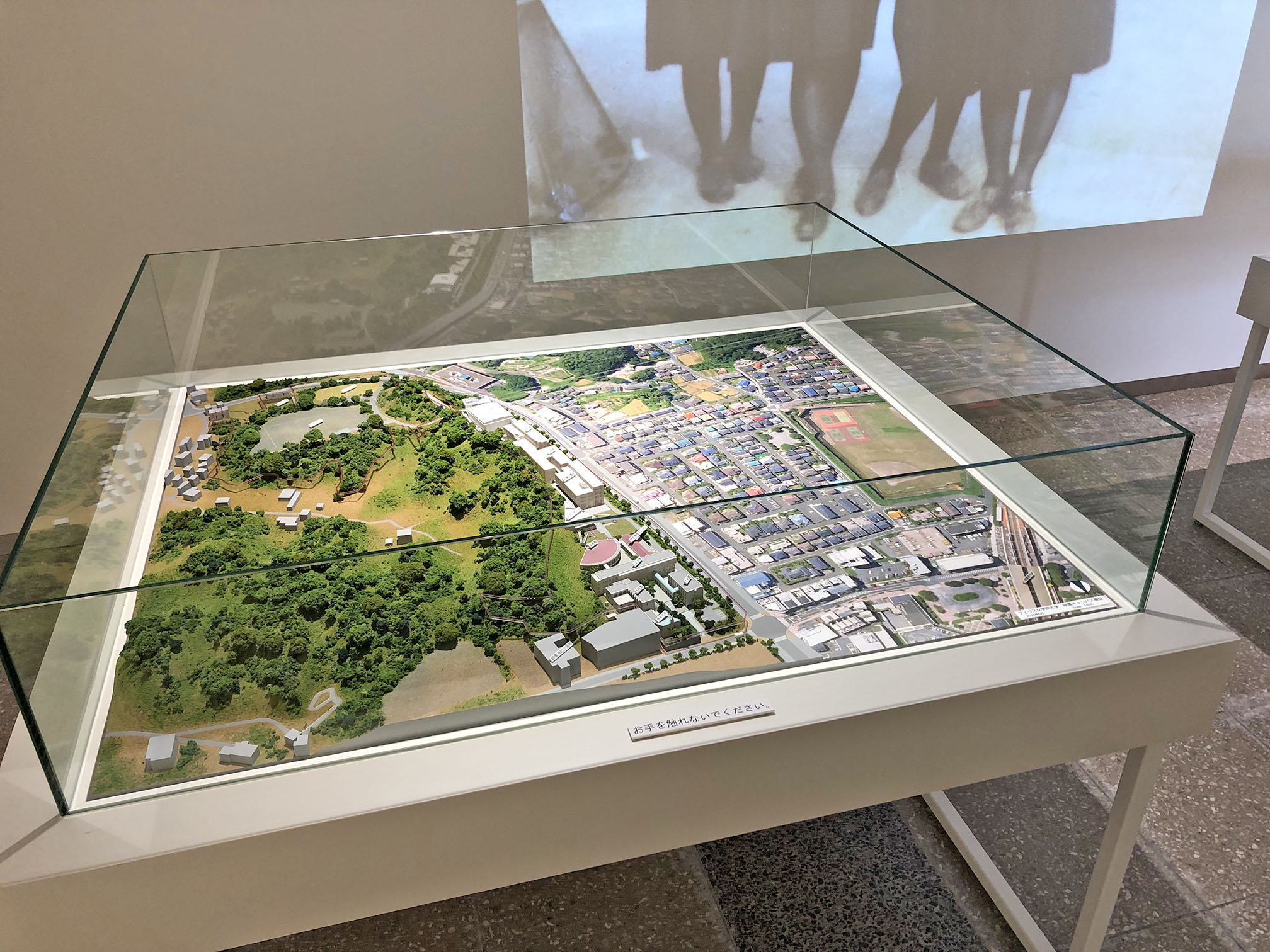 フェリス女学院歴史資料館の地形模型製作 - 株式会社 トリアド工房 - 文化財のレプリカ製作、保存・修復、模型製作